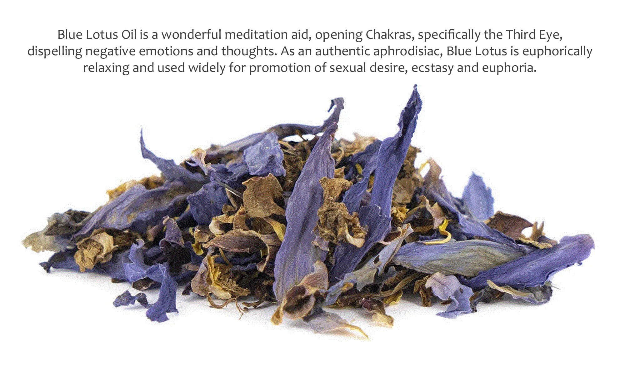 Organic Blue Lotus Incense Sticks Double Strength Temple - Etsy