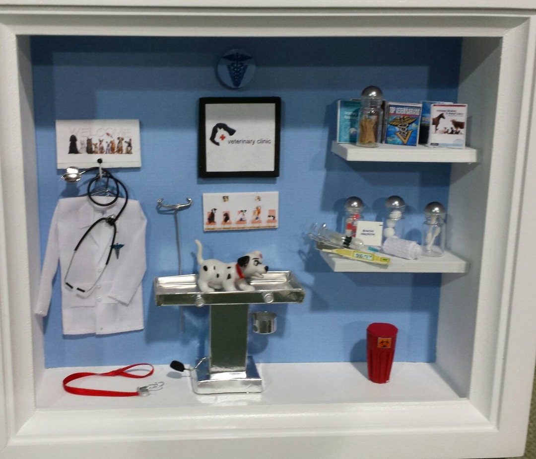 Miniature Veterinarian Shadow Box - Etsy