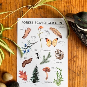 Forest Scavenger Hunt, Kids Game, Autumn Game, Party Games, Kids ...