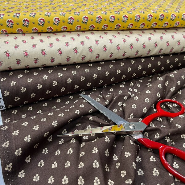 Regency Floral - Etsy