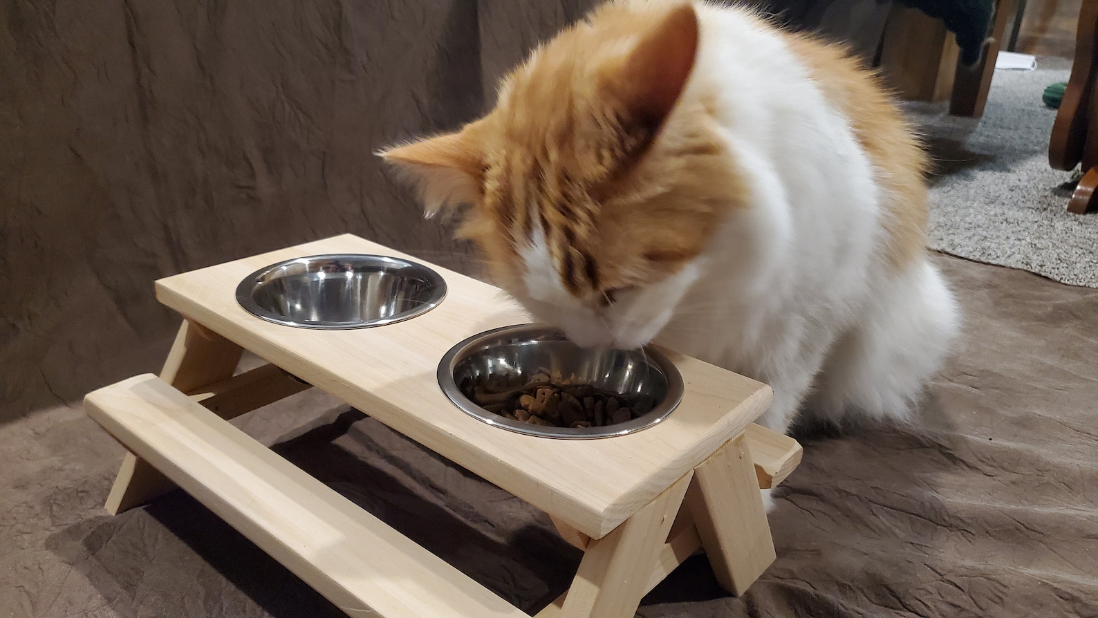 Cat Table, Elevated Feeder, Kitten Table, Picnic Table, Pet Feeder, Pet ...