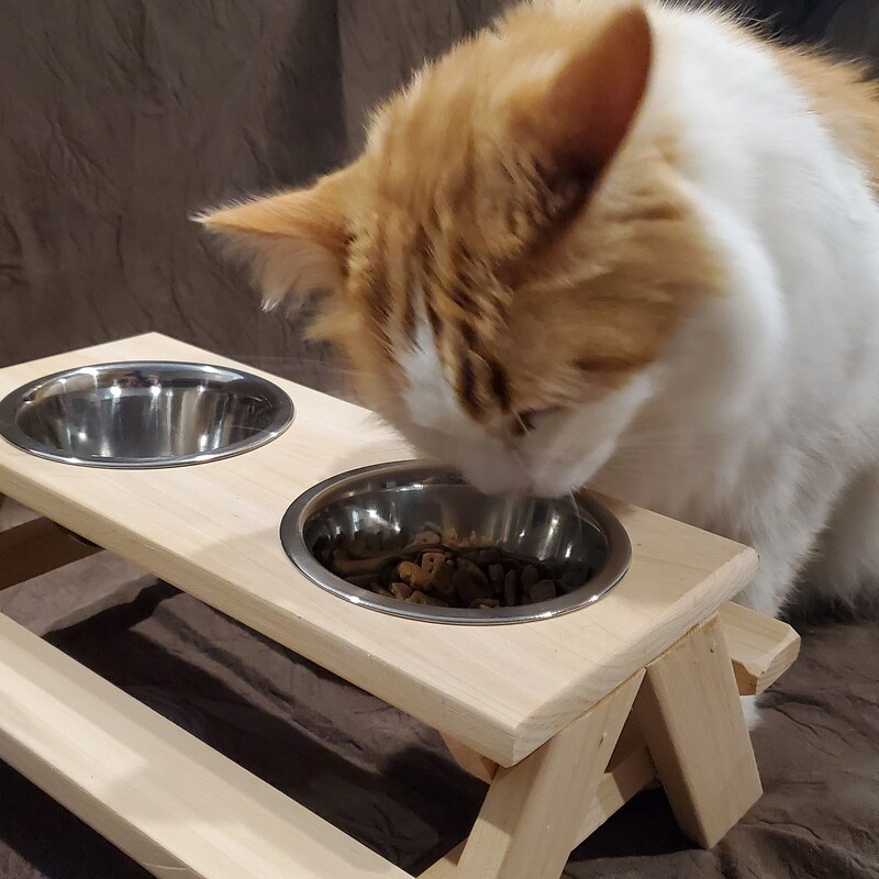 Cat Bed Table - Etsy
