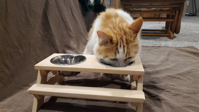 Cat Table, Elevated Feeder, Kitten Table, Picnic Table, Pet Feeder, Pet ...