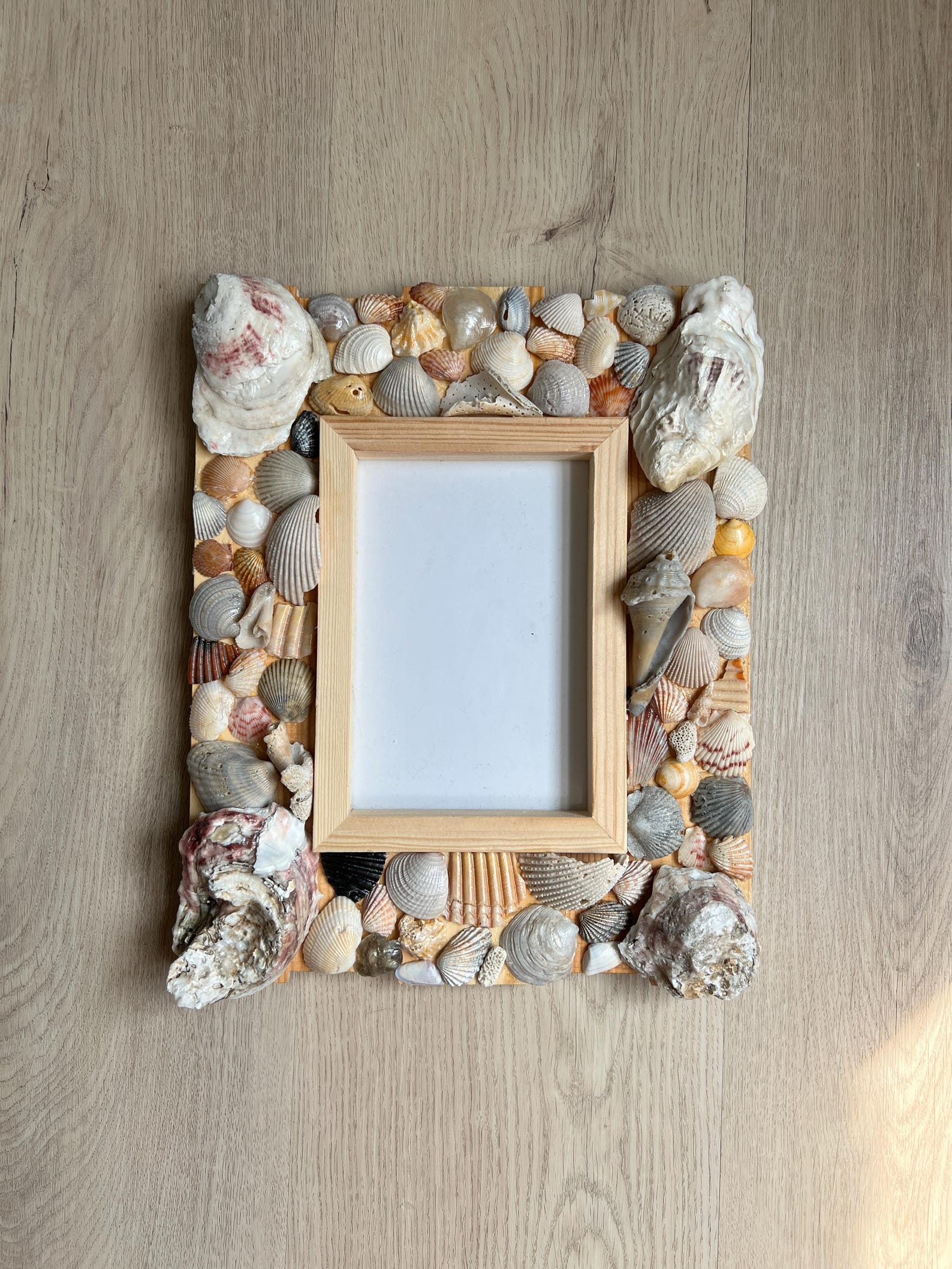 Beach Frame, Shell Frame, Beach Picture Frame, Seashell Frame, Picture ...