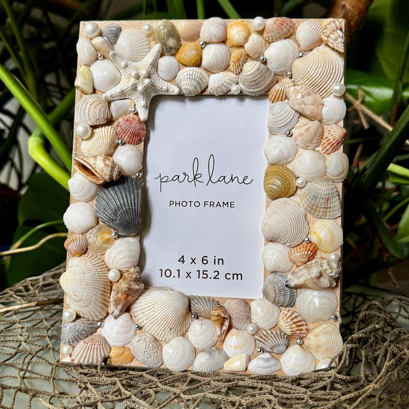 Seashell Frame - Etsy