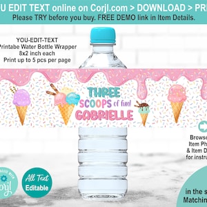 EDITABLE Icecream 3rd Birthday Water Bottle Label Template. Printable ...