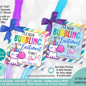 Unicorn Bubble Wand Gift Tag Editable Template. Back to School First ...