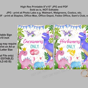 Girl Dinosaur Party Table Sign Bundle. Herbivores Carnivores Kid ...