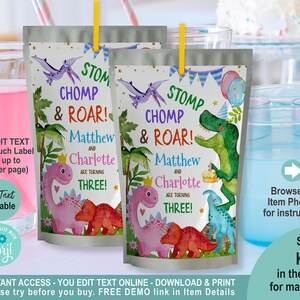 EDITABLE Dinosaur Sibling Boy Girl Birthday Juice Pouch Label ...