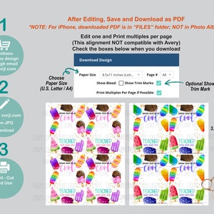 EDITABLE Popsicle Gift Tag. End of School Year Summer Freeze Pop Holder ...