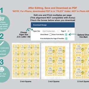 Lemon Lemonade Gift Tag EDITABLE Template. Personalised Name Label. You ...