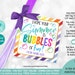 End of School Year Bubble Wand Gift Tag Editable Template. Personalised ...
