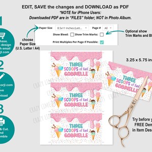 EDITABLE Ice Cream Party Gable Box Label. Printable Icecream Goody Box ...