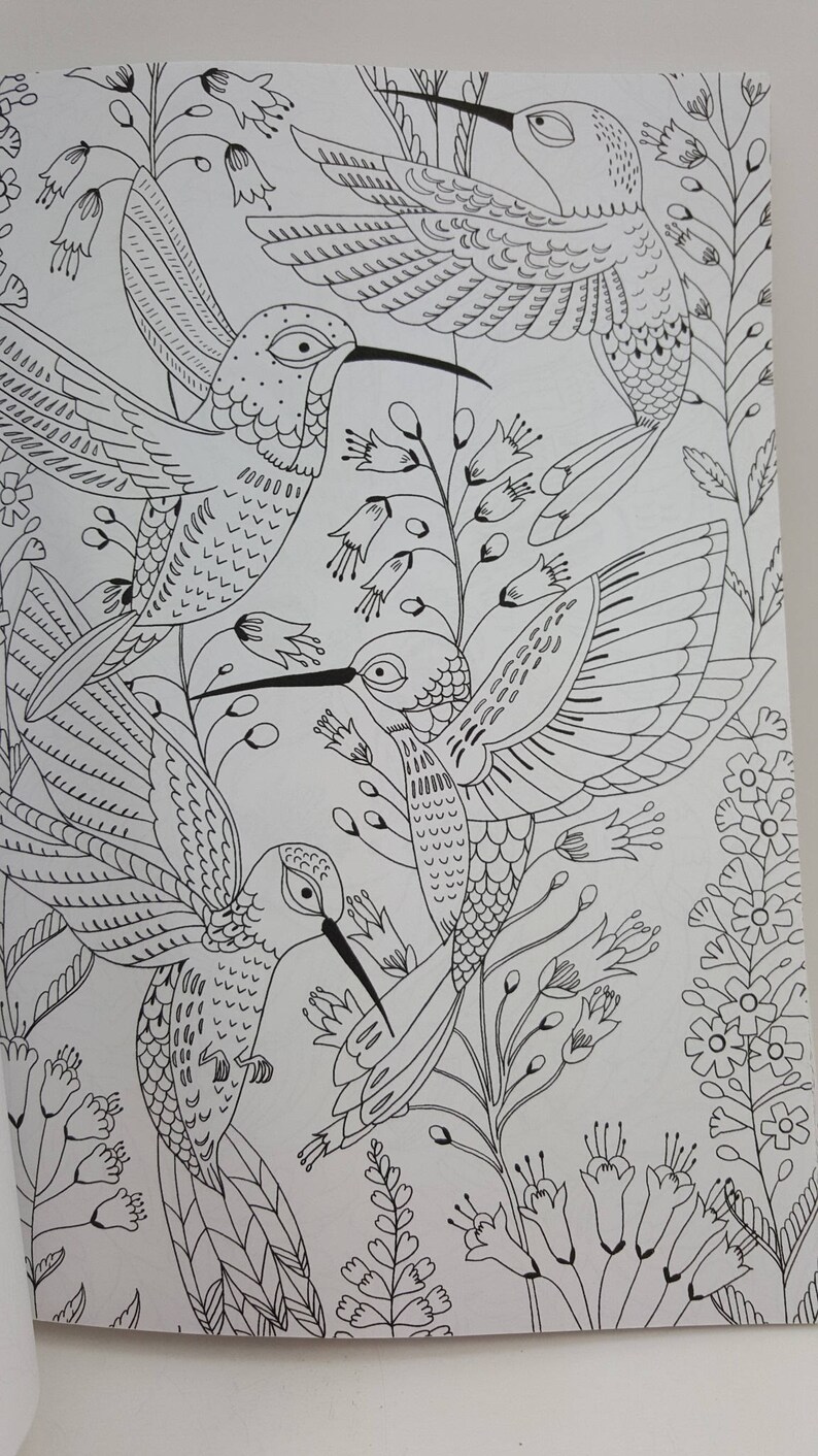 Natural World Color and Doodle Coloring Book | Etsy