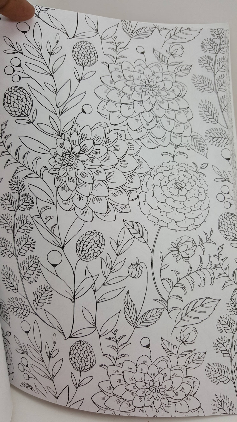 Natural World Color and Doodle Coloring Book | Etsy