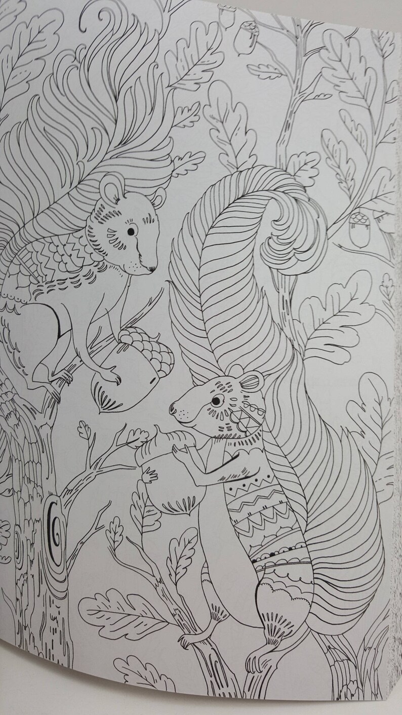 Natural World Color and Doodle Coloring Book | Etsy