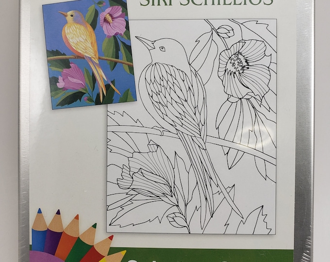 Siri Schillos Feathered Friends Coloring Cards in A Tin - Etsy