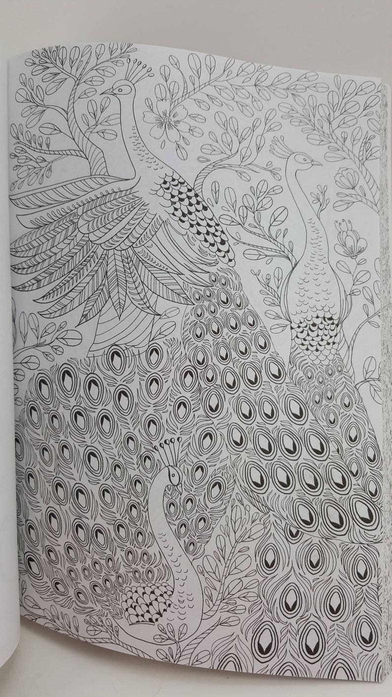 Natural World Color and Doodle Coloring Book | Etsy