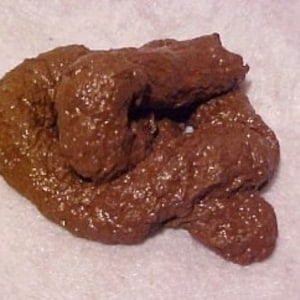 Poop - Etsy