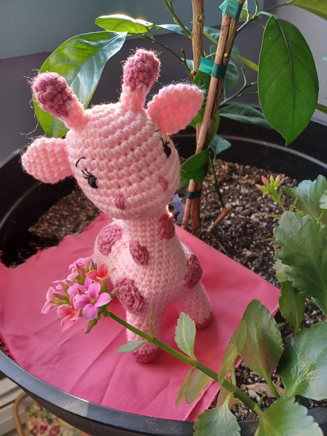 Crochet Giraffe Plush Toy, Lily the Giraffe, 11" Stuffed Animal - Etsy