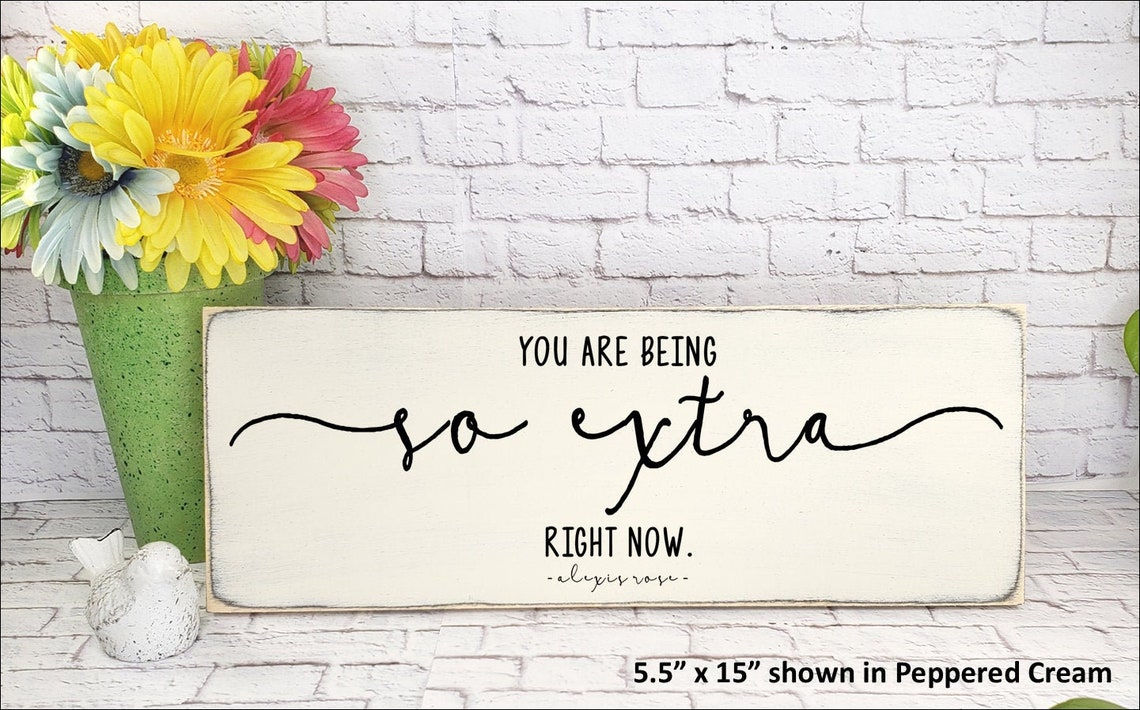 You Are Being so Extra Wood Sign Funny Home Office Desk Sign - Etsy