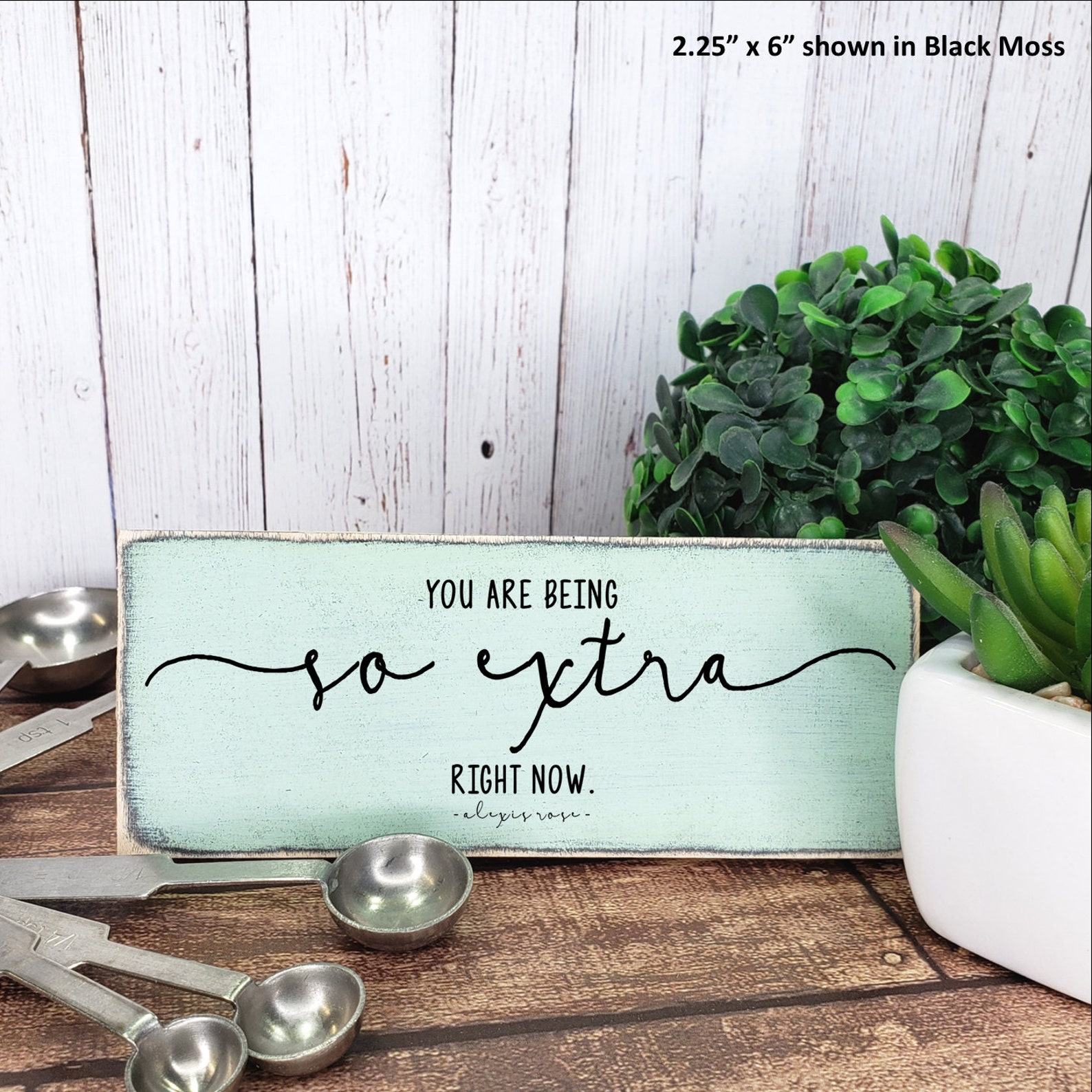 You Are Being so Extra Wood Sign, Funny Home Office Desk Sign, Humorous ...