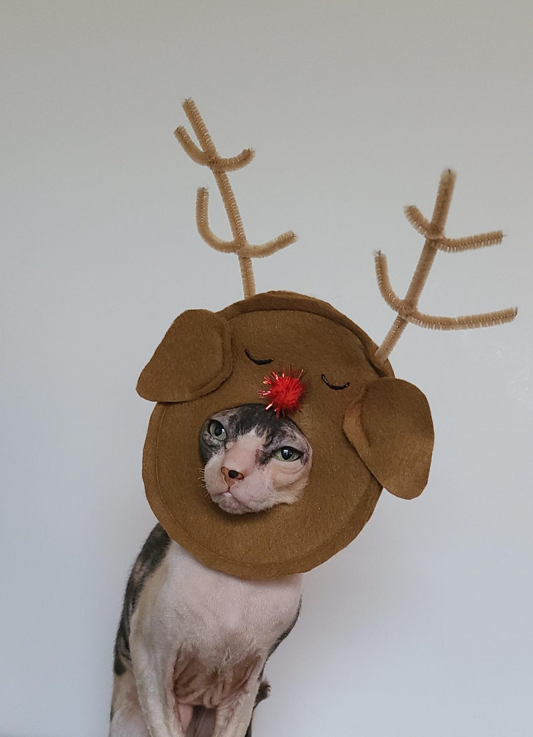 Rudolph the Red Nosed Reindeer Holiday Christmas Costume Hat for Cats ...