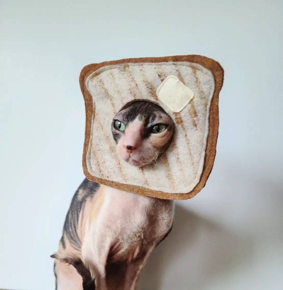 Cat Breading Costume