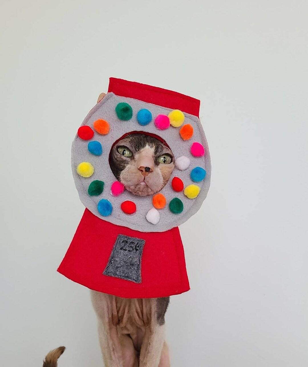 Gumball Machine Pet Costume for Cats Small Dogs Pets in Soft Colorful ...