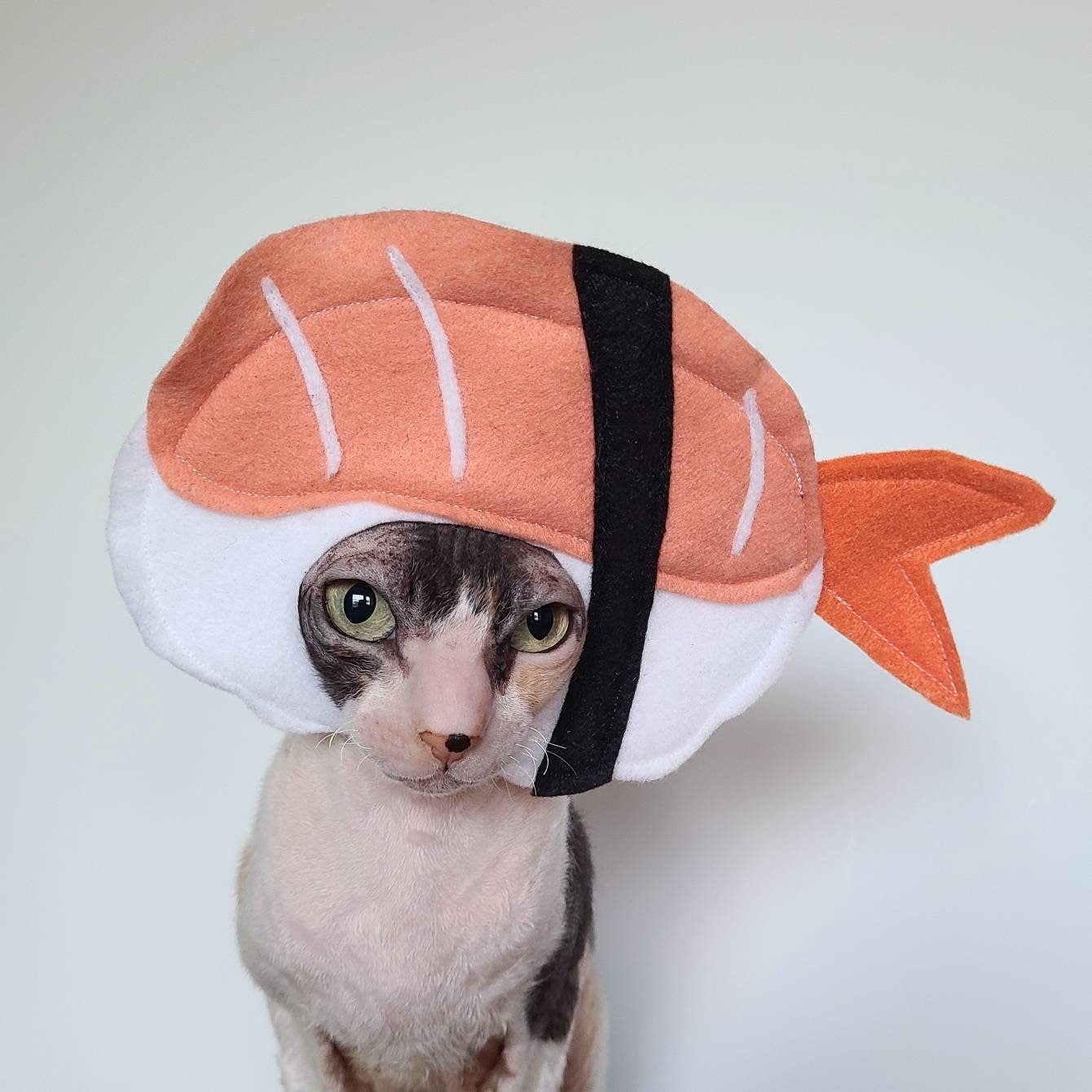 Sushi Sashimi Japanese Cuisine Pet Costume in Soft Lightweight Felt for ...