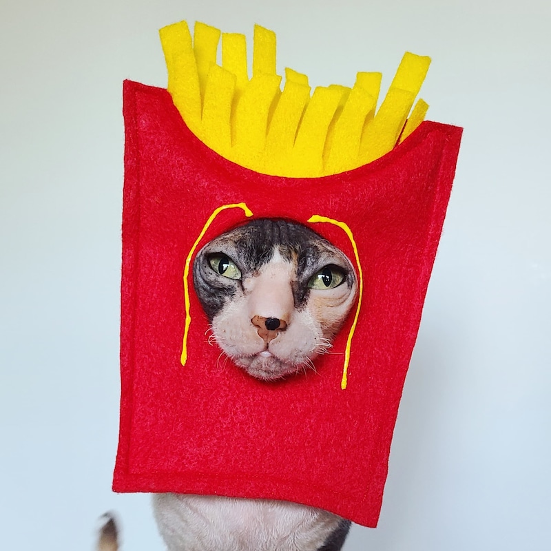 Cat French Fried - Etsy