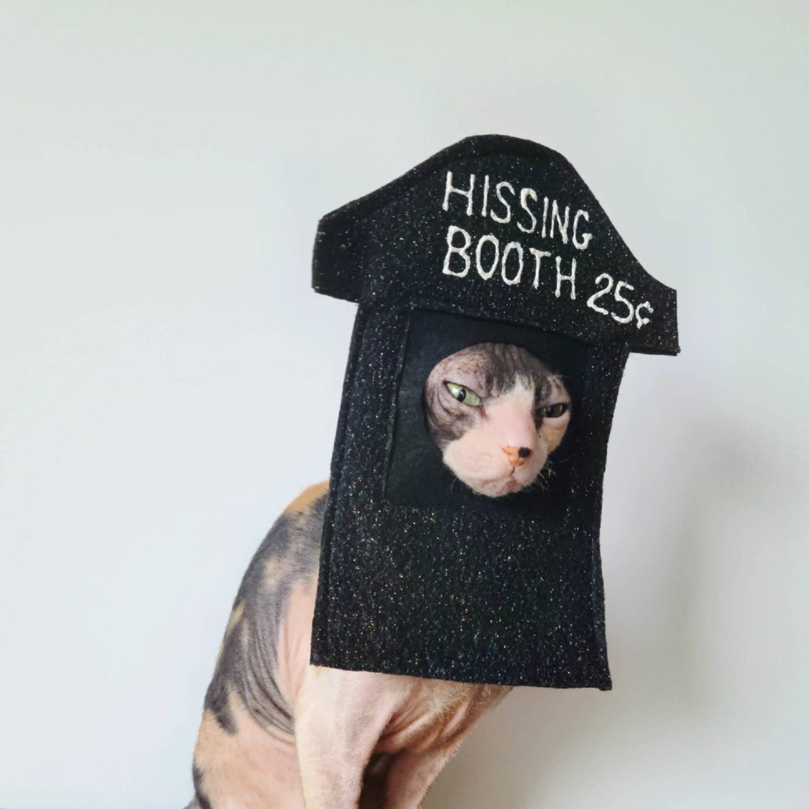 Hissing Booth Pet Costume for Cats Rabbits Small Dogs Bunny - Etsy