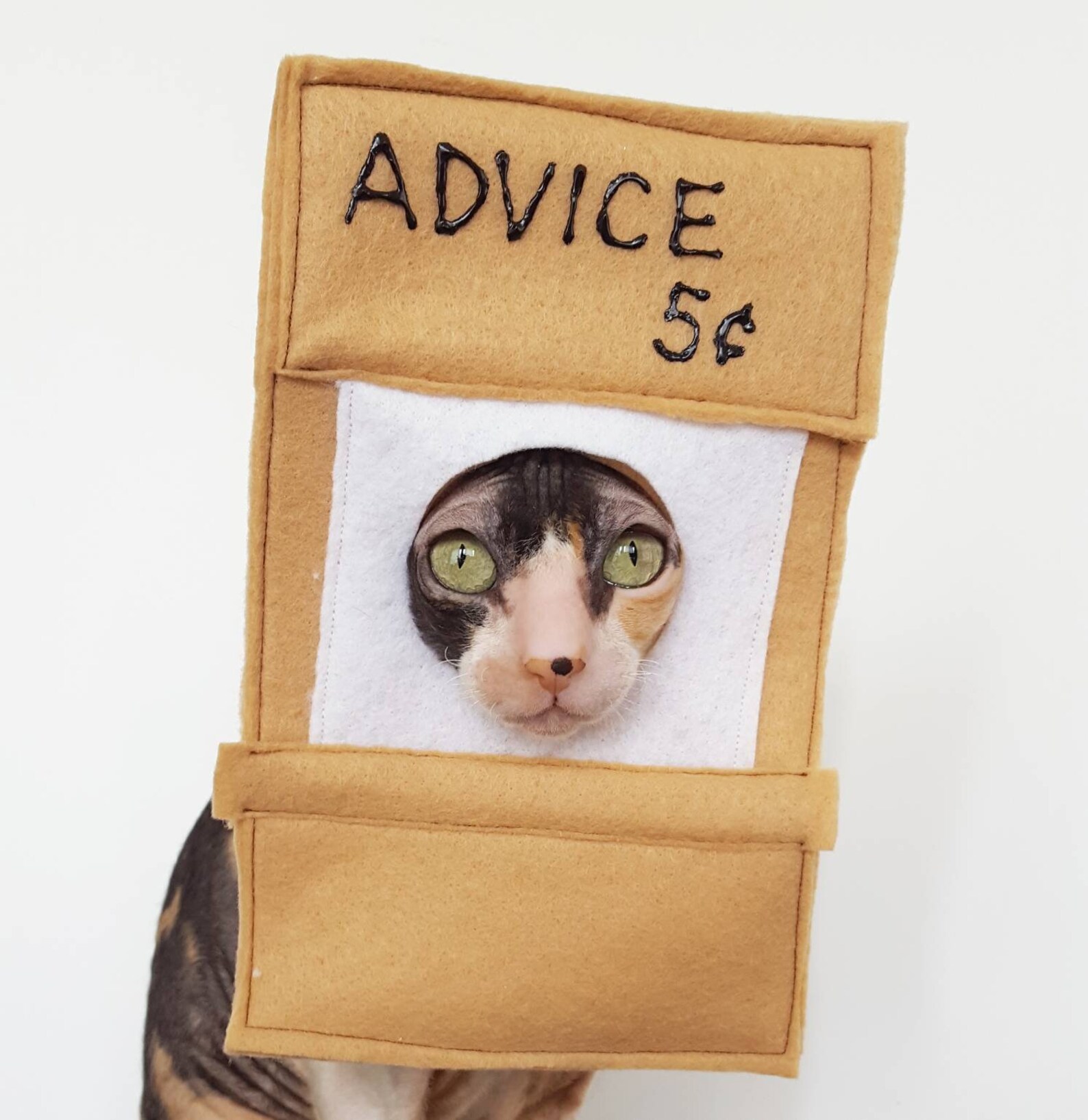 Advice Booth Costume Hat for Cats Dogs and Small Pets in - Etsy