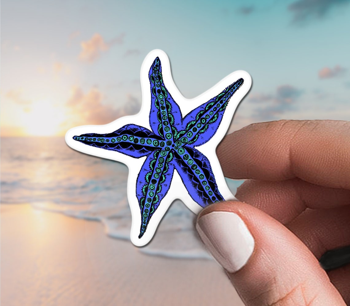 Starfish Sticker, Vinyl Beach Sticker, Sea Life Sticker - Etsy