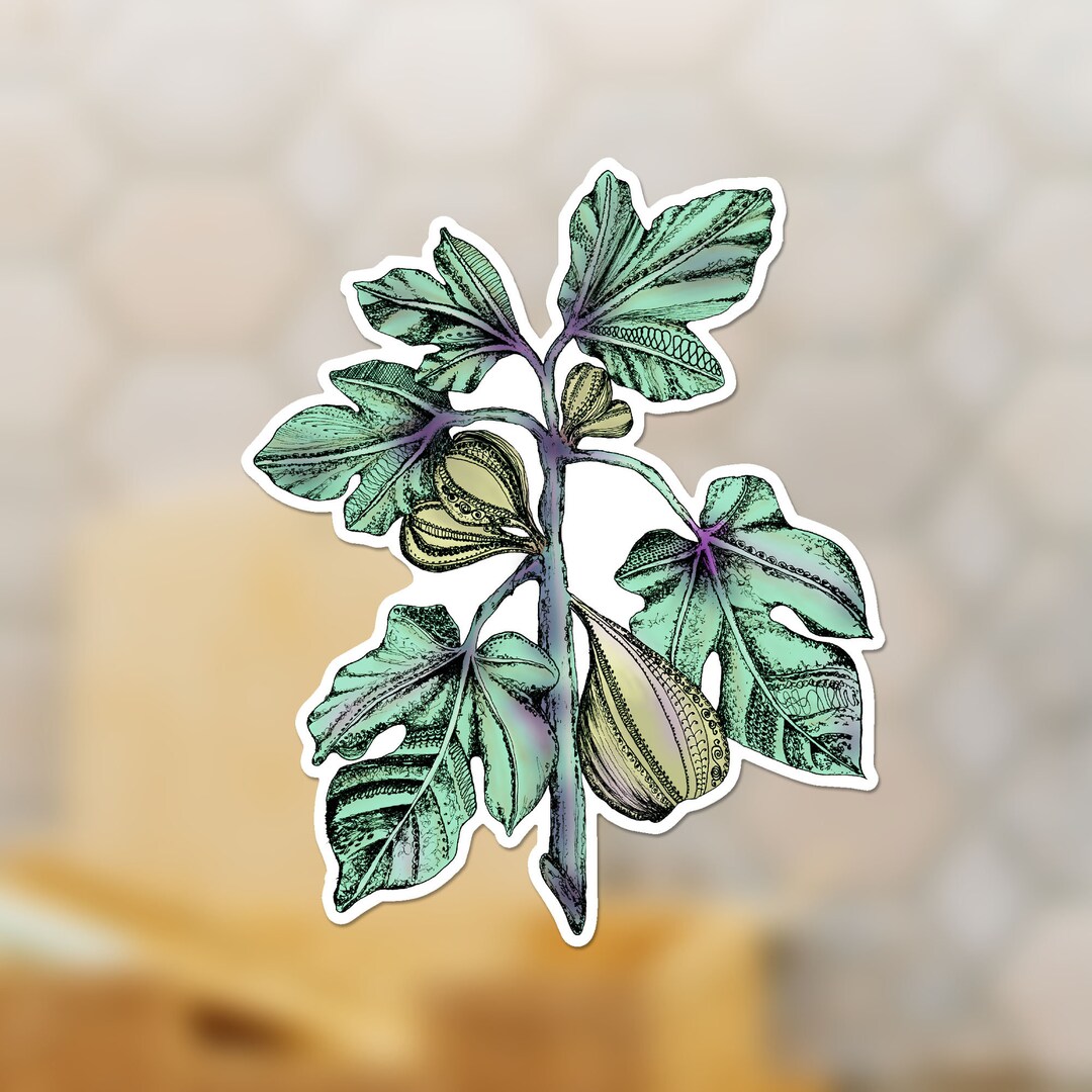 Fig Sticker, Food Decal, Vegetable Decal, Handmade Gift - Etsy