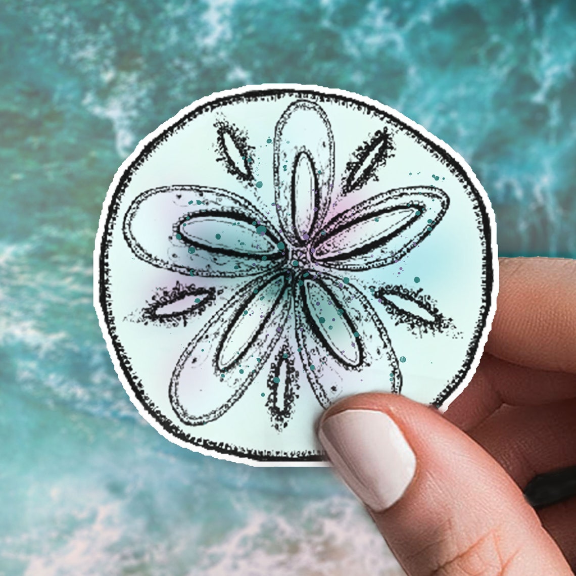 Sand Dollar Vinyl Sticker, Beachy Sticker, Sanddollar Decal - Etsy
