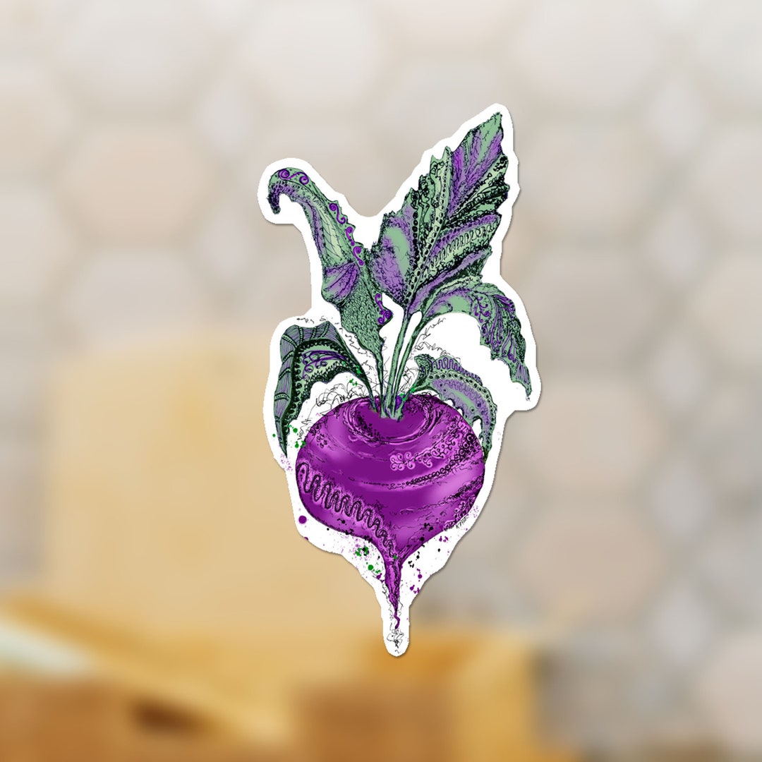 Beet Vegetable Sticker, Sweet Sugar Beet, Food Decal - Etsy