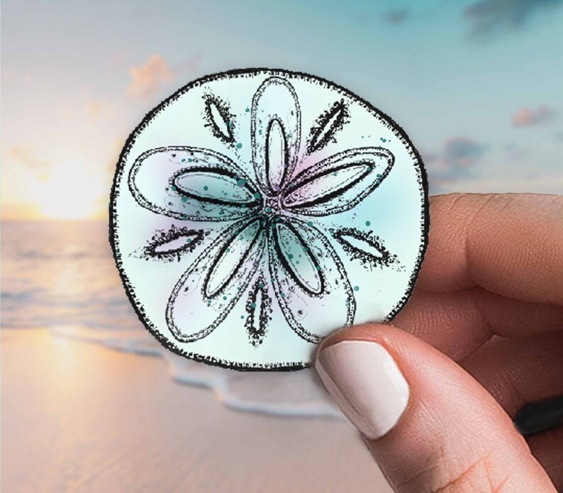 Sand Dollar Vinyl Sticker Beachy Sticker Sanddollar Decal | Etsy