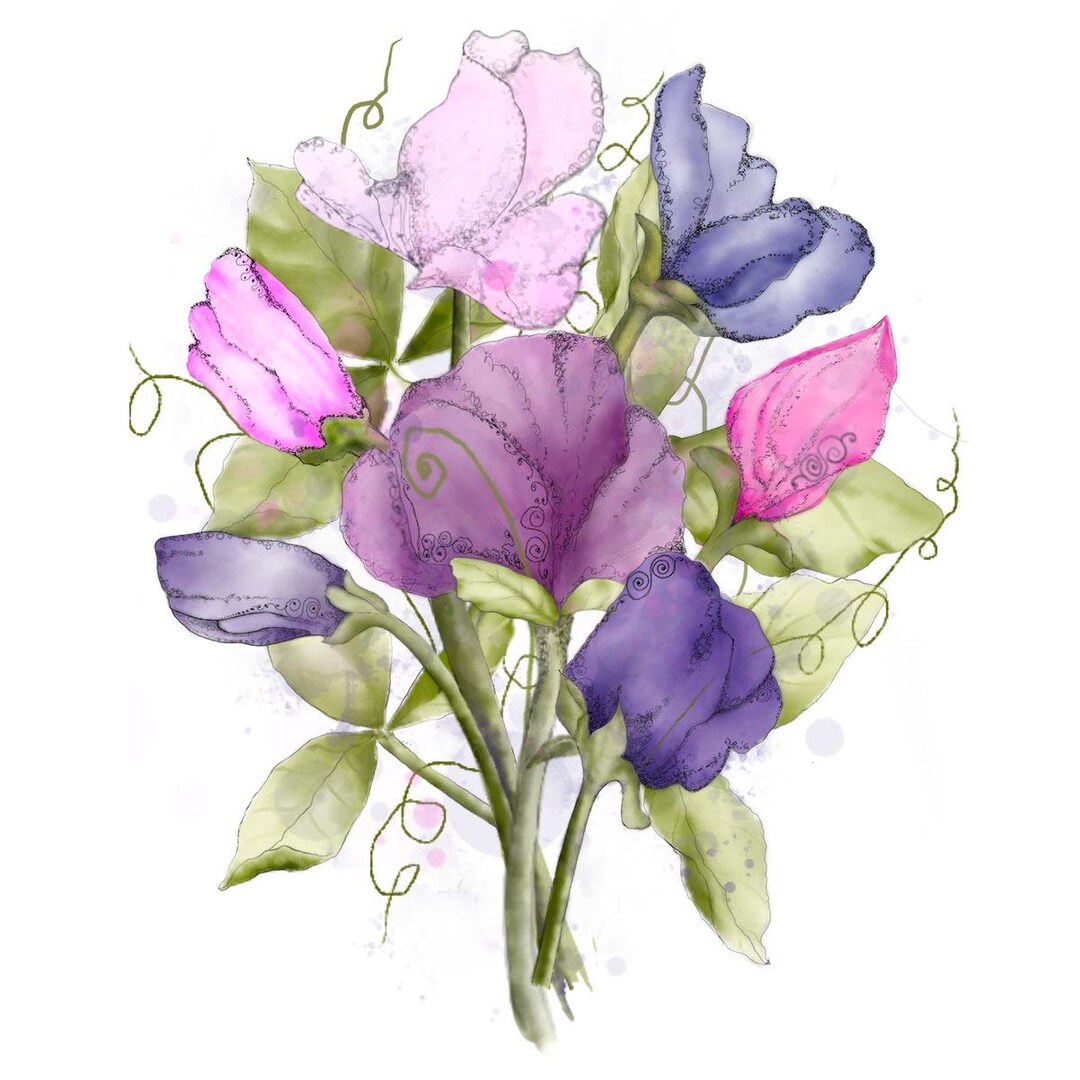 Watercolor Sweet Pea Sticker, April Birth Flower, Birthday Gift - Etsy