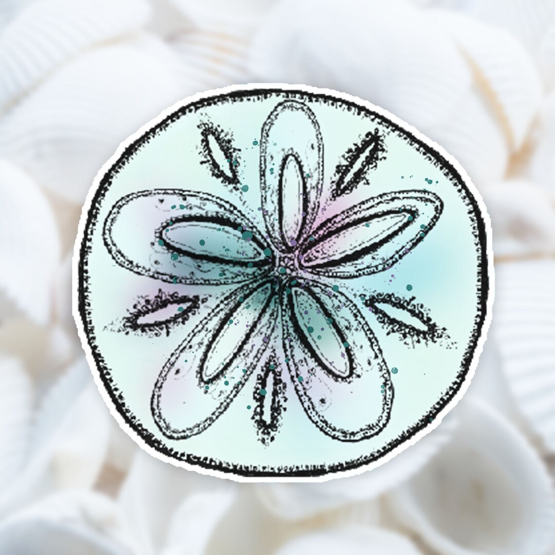 Sand Dollar Vinyl Sticker, Beachy Sticker, Sanddollar Decal - Etsy