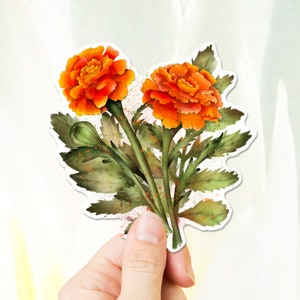 Watercolor Marigold Sticker, October Birth Flower - Etsy