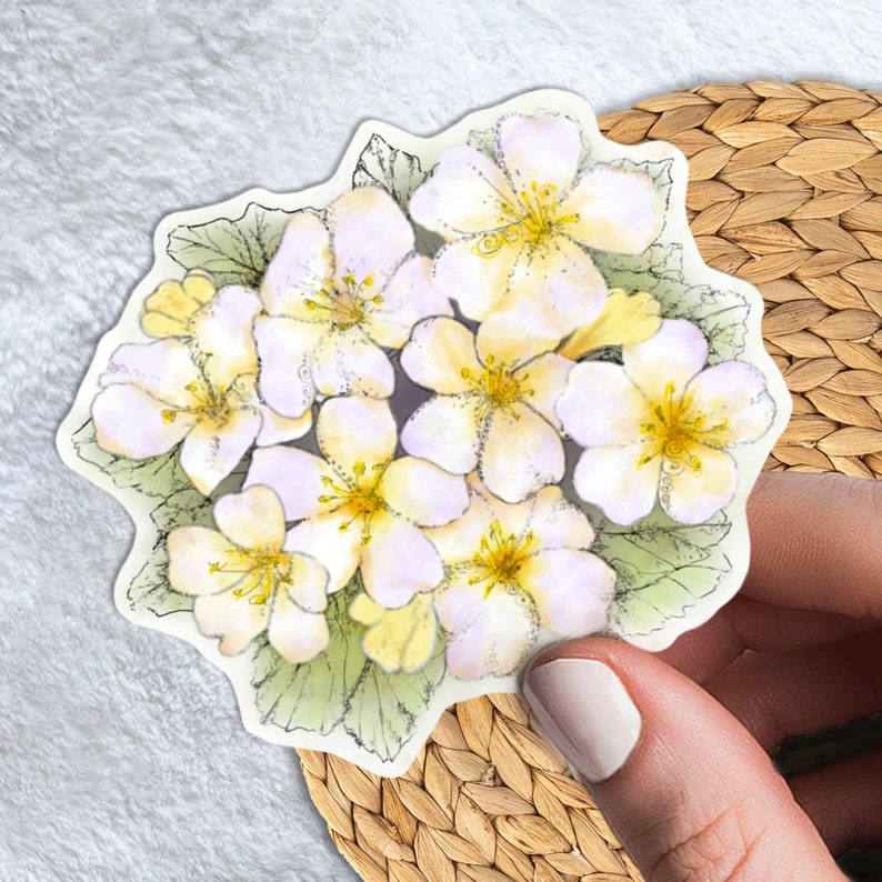 Watercolor Primrose Sticker, February Birth Flower - Etsy