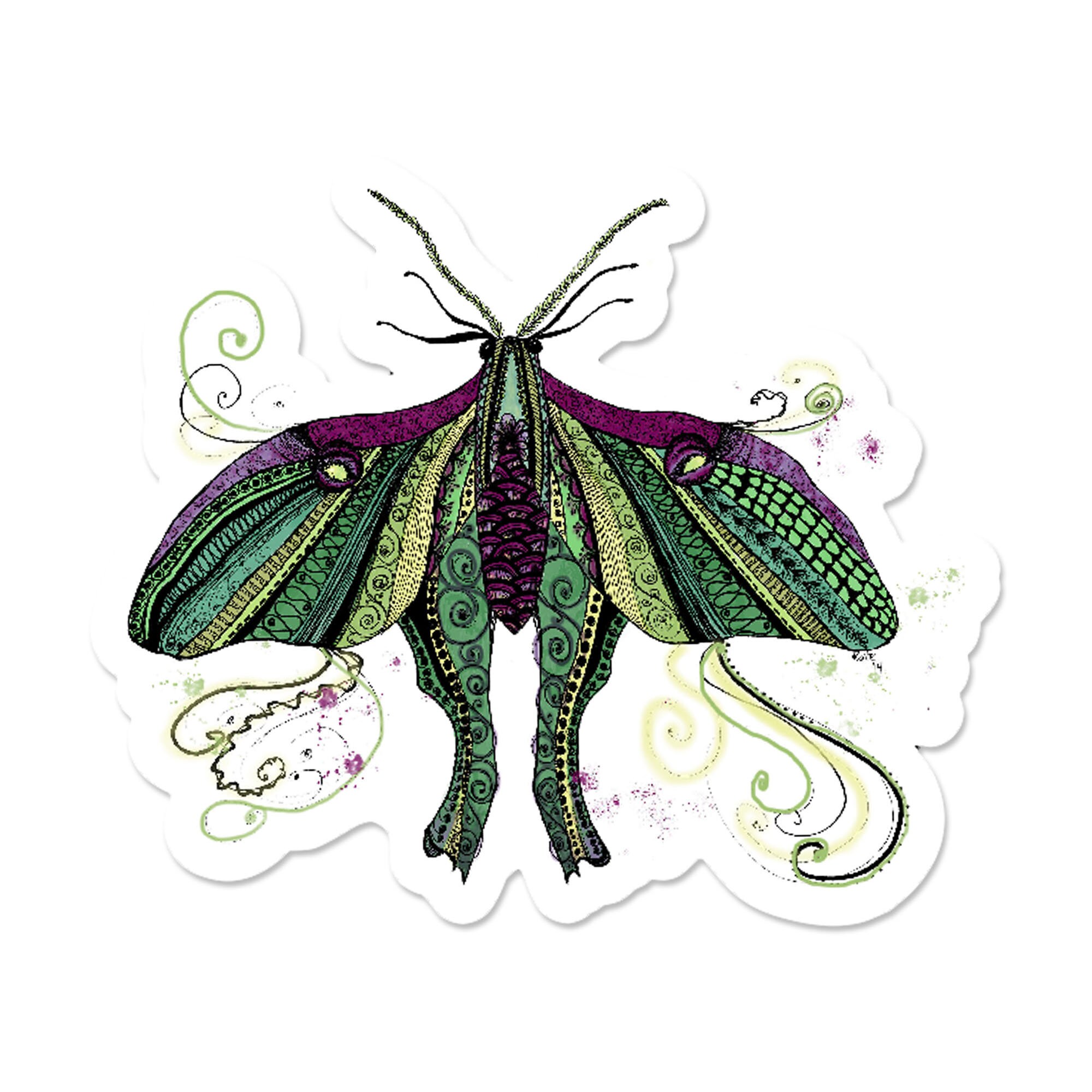Silkworm Moth Drawing