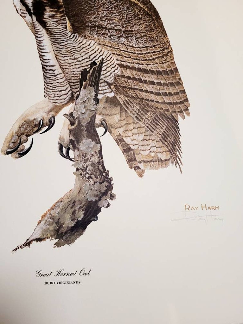 Ray Harm Wildlife Print the Great Horned Owl - Etsy