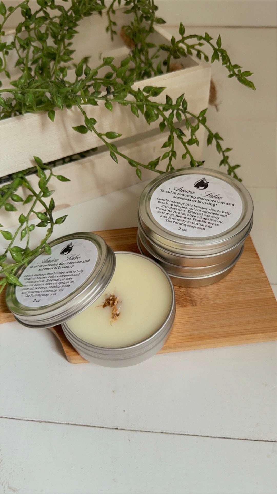 Arnica Salve ~herbal Salve ~bruise Salve ~botanical Salve ~steeped and ...