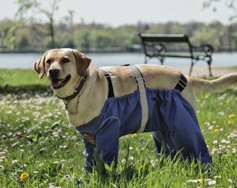 Dog Mud Suit - Etsy