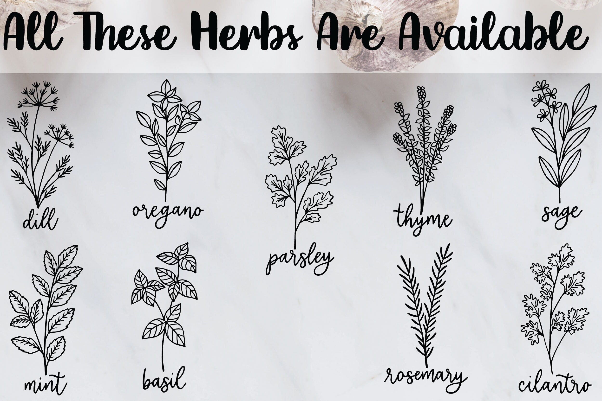 Sage Herb Kitchen Vinyl Decal. Herbal Garden Decal for Kitchen | Etsy