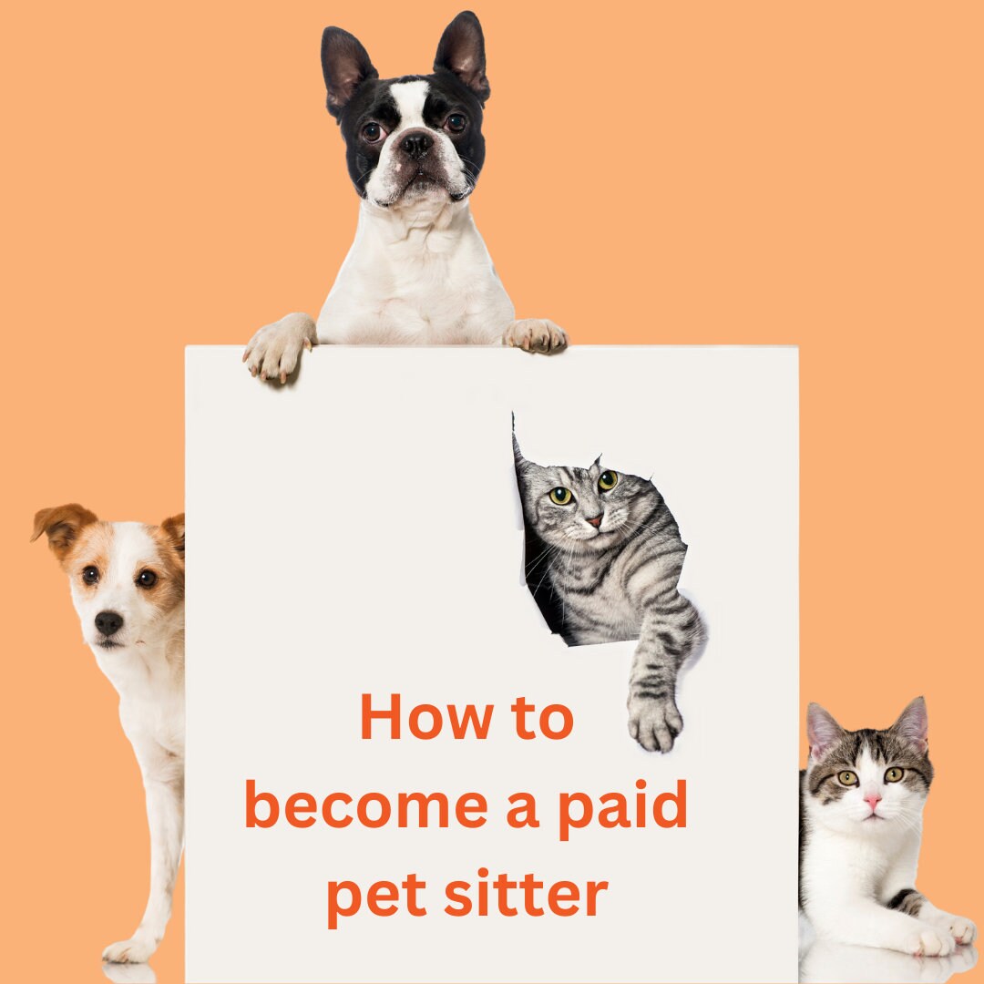 How to Become a Pet Sitter | Set up a Pet Sitting Business | Pet ...