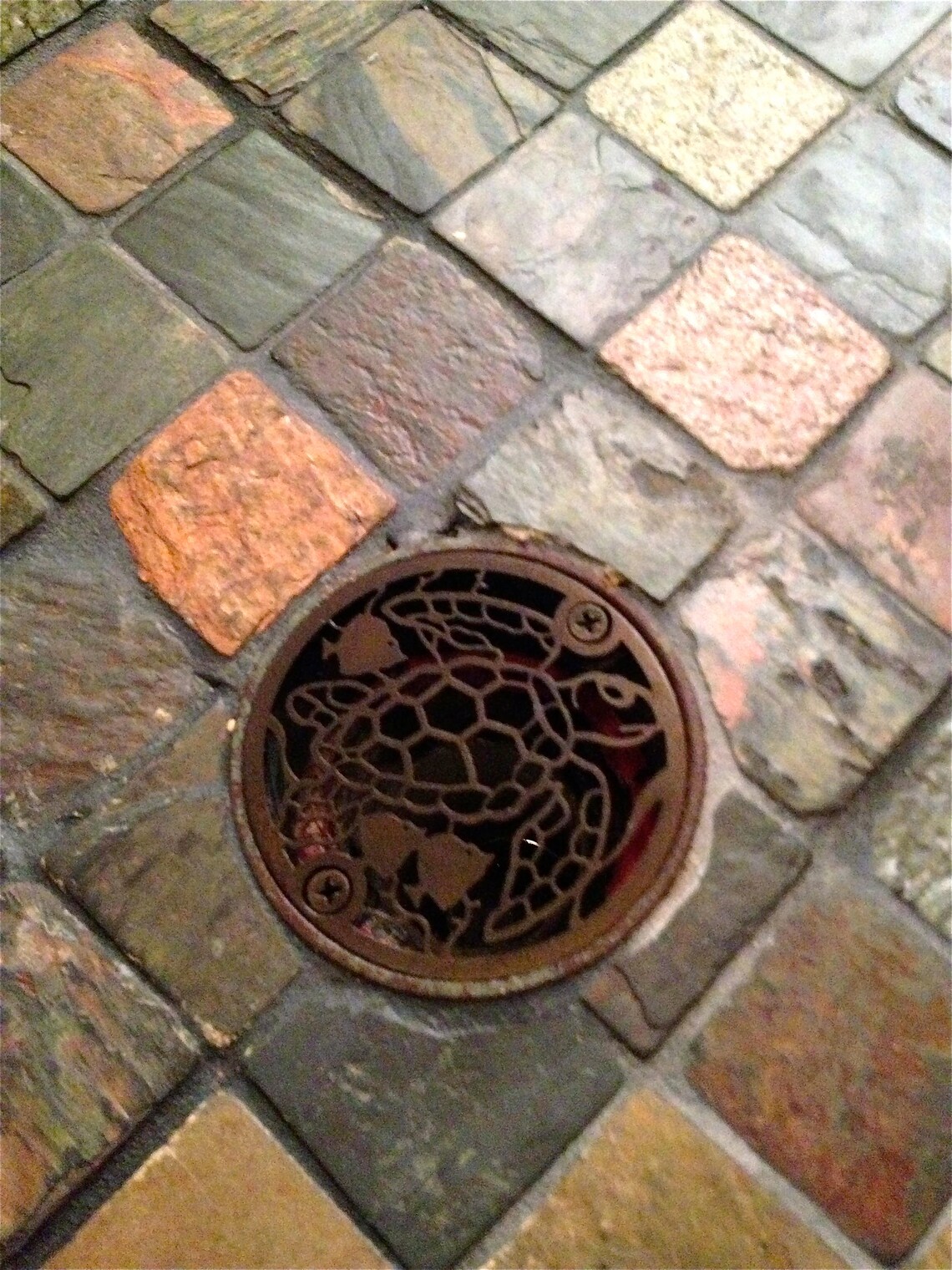 3.25 Round Shower Drain Designer Drains Turtle Drain | Etsy