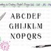 SVG Font Alphabet Fancy Swash Alternatives Script Font Calligraphy Font ...